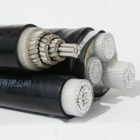 China XLPE Insulated Cable with 0.6mm 3.4mm Insulation Thickness and Cross-linked Polyethylene XLPE Insulation for sale