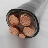 China PVC Sheath Copper Armored 0.6kv 1kv XLPE Insulated Cable for sale
