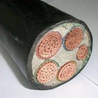 China PVC Sheath Copper Armored 0.6kv 1kv XLPE Insulated Cable for sale