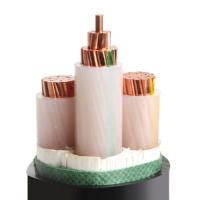 China PVC Sheath Copper Armored 0.6kv 1kv XLPE Insulated Cable for sale