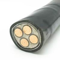 China Fire Resistant PVC Sheathed Copper XLPE Power Cable for sale