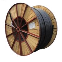 China Multi Core IEC 60502-1 Low Voltage XLPE Power Cable for sale