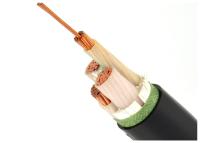 China Low voltage 0.6/1kV XLPE Insulated  Power cable IEC standard Two Cores for sale