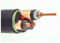 China Custom 18KV / 30KV Xlpe Insulation Cable With The Copper Wire Screen for sale