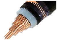 China Medium Voltage 26/35kV CU/XLPE/CTS/PVC with Copper Wire Screen Signle Core or Three Core for sale