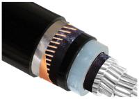 China Top Cable Manufacturer 3.6/6kV Aluminum Conductor XLPE Insulated  Power cable High Voltage for sale