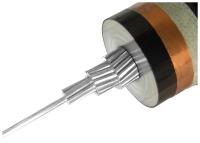China Top Cable Manufacturer 3.6/6kV Aluminum Conductor XLPE Insulated  Power cable High Voltage for sale