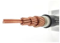 China 70 Sq mm Concentric Conductor XLPE Insulated Power Cable Eco Friendly YJV N2XCY for sale