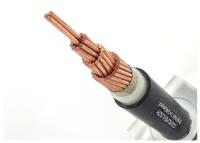 China 70 Sq mm Concentric Conductor XLPE Insulated Power Cable Eco Friendly YJV N2XCY for sale
