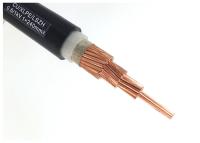 China 70 Sq mm Concentric Conductor XLPE Insulated Power Cable Eco Friendly YJV N2XCY for sale