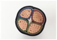 China 150 Sq mm XLPE PVC Electrical Cable LV Multi Core CE IEC Certification for sale