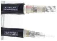 China Insulated Power Low Voltage XLPE Cable For Power Distribution / Transmission Line for sale