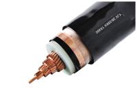 China Medium Voltage XLPE insulated cable with stranded Conductor Rigid Signle Core for sale