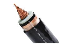 China Medium Voltage XLPE insulated cable with stranded Conductor Rigid Signle Core for sale