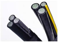 China Al / Xlpe Insulated Aerial Bunched Aerial Power Cable AAC Conductor for sale