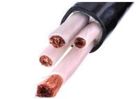 China Low Voltage XLPE Insulated Power Cable IEC 60228 Class 5 Copper Conductor PVC Sheath for sale