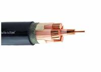 China Four Core XLPE Insulated Power Cable Copper Tape Shield Electric Insulation Cable for sale