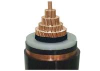 China BS6622 Standard CU/XLPE/CTS//PVC 6.36/11kV Single Core Power Cable for sale
