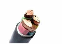 China PVC Sheathed XLPE Insulated Power Cable Copper Conductor.6/1kV 5 Core for sale