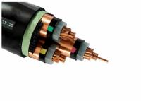 China N2XSRY 12/20KV3 X300SQMM CU / CTS / PVC XLPE Insulated Cable High Voltage for sale