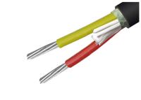 China 1kV  Aluminum Conductor PVC Insulated & Sheathed Two Core Unarmoured Power Cable for sale