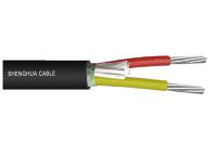 China 1kV  Aluminum Conductor PVC Insulated & Sheathed Two Core Unarmoured Power Cable for sale
