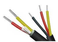 China 1kV  Aluminum Conductor PVC Insulated & Sheathed Two Core Unarmoured Power Cable for sale