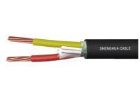 China Two Cores Stranded Copper Conductor 1kV  PVC Insulated Cable with PVC sheathed for sale