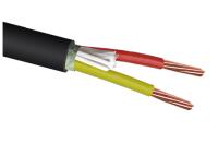 China Two Cores Stranded Copper Conductor 1kV  PVC Insulated Cable with PVC sheathed for sale