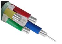 China 1000V Aluminum Conductor Three And Half Core PVC Insulated & Sheathed Unarmoured Cable for sale
