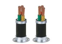 China 35 Sq mm PVC Insulated Flame Retardant Cables For Outside Energy Utility / Lighting for sale