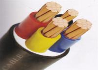 China Armored / Unarmored Power Electric PVC Insulated Cables 50mm2 Conductor Cross Section for sale