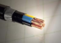 China 240 mm2 Custom PVC Insulated Pvc Sheathed Cable , Multicore Power Cable for sale