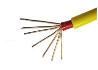 China U-1000V CU / PVC / FR - PVC Insulated Power Cable Flame and Fire Resistant for sale