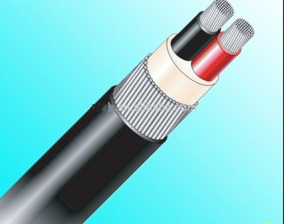China 1000V Aluminum Conductor PVC Insulation Cable , Galvanized Steel Wire Armored Pvc Power Cable for sale