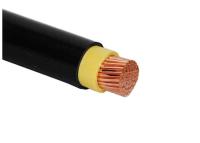 China 0.6/1kV Flame Retardant PVC Insulated Cables Copper Power Cable Single Core for sale