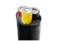 China NAYY Aluminum Conductor Unarmoured PVC Insulated Power Cable 2 Year Warranty for sale