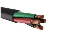China U-1000V Copper Conductor PVC Insulated Cables / PVC Sheath Four Cores PVC Power Cable for sale