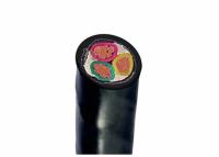 China Unarmoured LV Power PVC Insulated Cable 0.6/1kV Three Core 1.5-600mm2 IEC60502-1 for sale