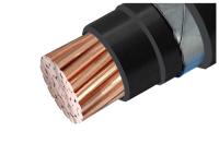 China Single Core Armoured Electrical Cable 1kV  Copper Conductor PVC Insulated Stainless Steel Tape Armored Cable for sale