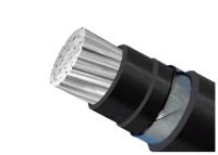 China 0.6/1kV Single Phase Armoured Electrical Cable Copper/Aluminum/XLPE/PVC/AWA/STA Electric Power Cable for sale