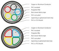 China PVC Insulated Armoured Electrical Cable 1kV  CU/PVC/SWA/PVC Copper Conductor Cable for sale