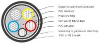 China Shaped Conductor PVC Armoured Cable Black Sheath Color CE IEC Certification for sale