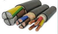 China Black PVC sheathed Armoured Electrical Cable 600/1000V Armored Power Cables for sale
