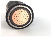 China 33kV Single Core Copper XLPE Insulation Armoured Power Cable 19/33kV Aluminum Wire Armored Copper Cable for sale