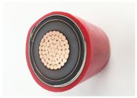 China Copper CU XLPE Insulated MV Armoured Cable Stainless Steel Tape Armour One Phase High Tension Power Cable for sale