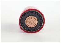 China Copper CU XLPE Insulated MV Armoured Cable Stainless Steel Tape Armour One Phase High Tension Power Cable for sale