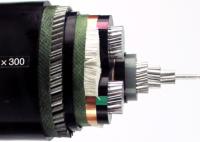 China CU AL Conductor Single Core / 3 Core Armoured Cable PE LSOH Sheathed for sale