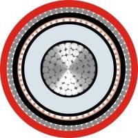 China CWS CTS STA PE Armoured Electrical Cable Medium Voltage 2 Years Warranty for sale
