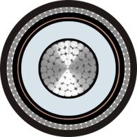 China CWS CTS STA PE Armoured Electrical Cable Medium Voltage 2 Years Warranty for sale